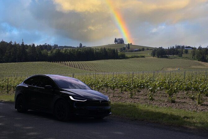 Private Sustainable Wine Tour in Oregon (Willamette Valley) - Reviews and Feedback