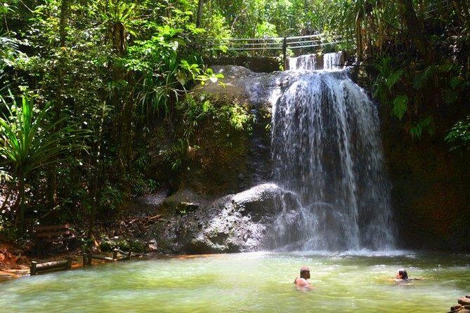 Private Suva Nature and Waterfall Tour - Exploring the Layout: What to Expect from the Tour