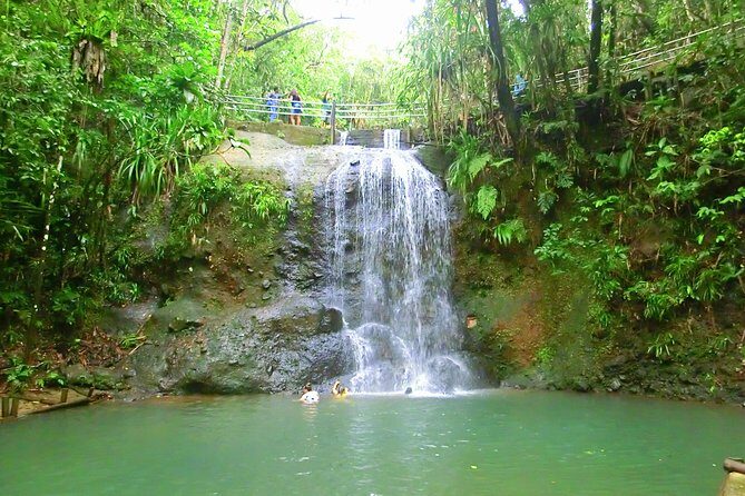 Private Suva Nature and Waterfall Tour - Final Thoughts: Who Will Love This Tour?