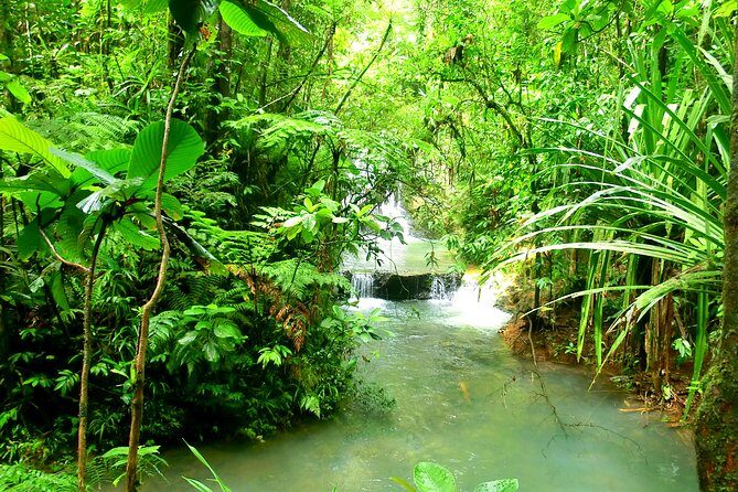 Private Suva Nature and Waterfall Tour - Final Word