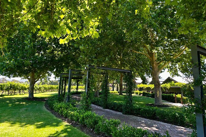 Private Swan Valley Luxury Tour Pick up metro area - Practical Considerations and Value