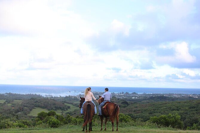 Private Sweetheart Horseback Ride - An in-Depth Look at the Experience