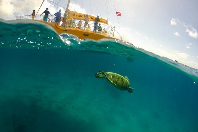 Private Swim and Sail Charter (Kewalo Harbor) - Who Should Consider This Tour?