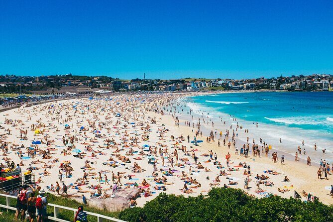 PRIVATE Sydney City Bondi Beach Opera House & Botanic Garden Tour - Final Thoughts: Who Will Love This Tour?