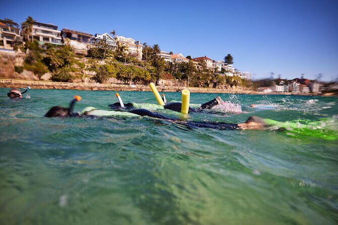 Private Sydney Snorkeling Experience: Explore Cabbage Tree Bay - Practical Tips for Your Snorkeling Day