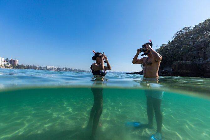 Private Sydney Snorkeling Experience: Explore Cabbage Tree Bay - The Sum Up: Is This the Right Tour for You?