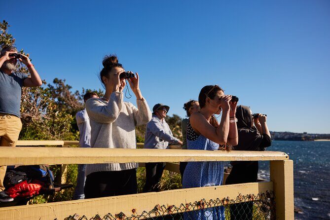 Private Sydney Snorkeling Experience: Explore Cabbage Tree Bay - FAQ