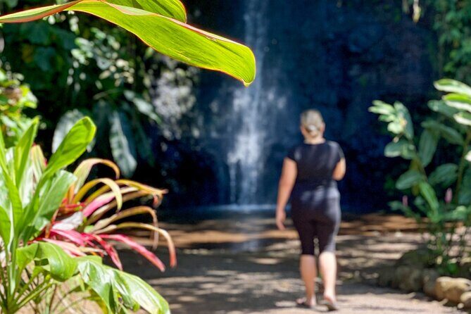 Private TAHITI Half Day Circle Island Tour (Departs 8am or 1pm) - An In-Depth Look at the Tour Experience