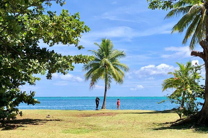 Private TAHITI Half Day Circle Island Tour (Departs 8am or 1pm) - Final Thoughts