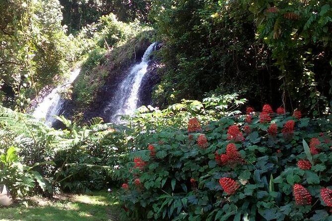 private Tahiti island discovery - The Itinerary: What Youll See and Feel