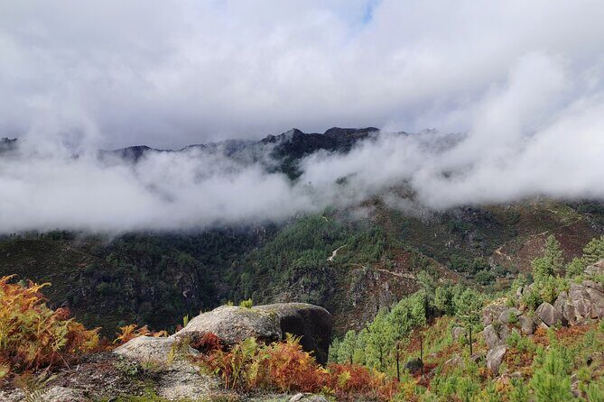 Private / tailor made experience in Gerês National Park - Who Should Consider This Tour?