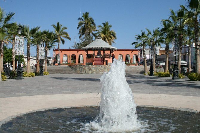 Private Tailor-Made Tour Todos Santos - Who Will Love This Tour?
