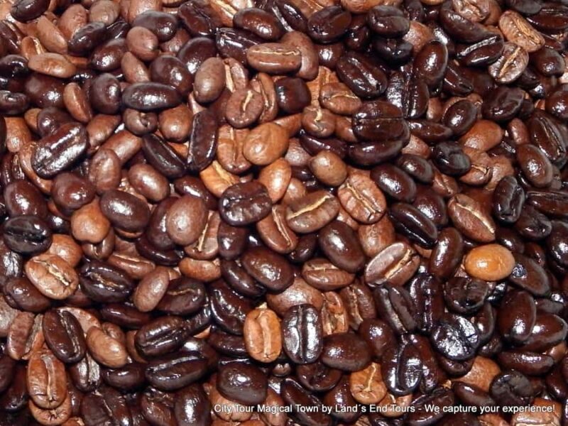 Private Tailor-Made Tour Todos Santos - Frequently Asked Questions