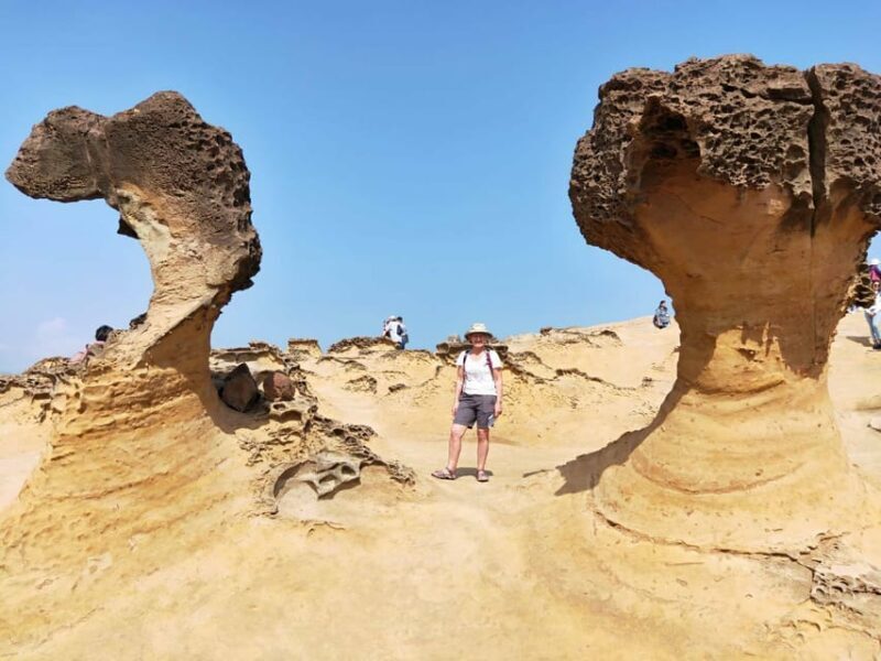 Private Taipei City Layover Tour from TPE Airport - Who Should Consider This Tour?