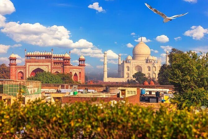 Private Taj Mahal at Sunrise and Agra Day Tour from Delhi All Inclusive - The Sum Up