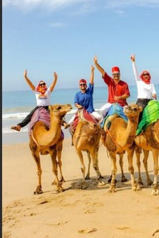 Private Tangier Tour from Gibraltar including Camel & Lunch - Who Should Consider This Tour?