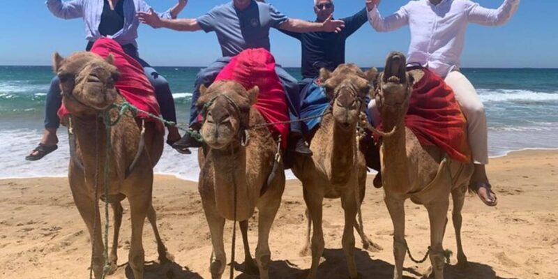 Private Tangier Tour from Gibraltar including Camel & Lunch - The Sum Up