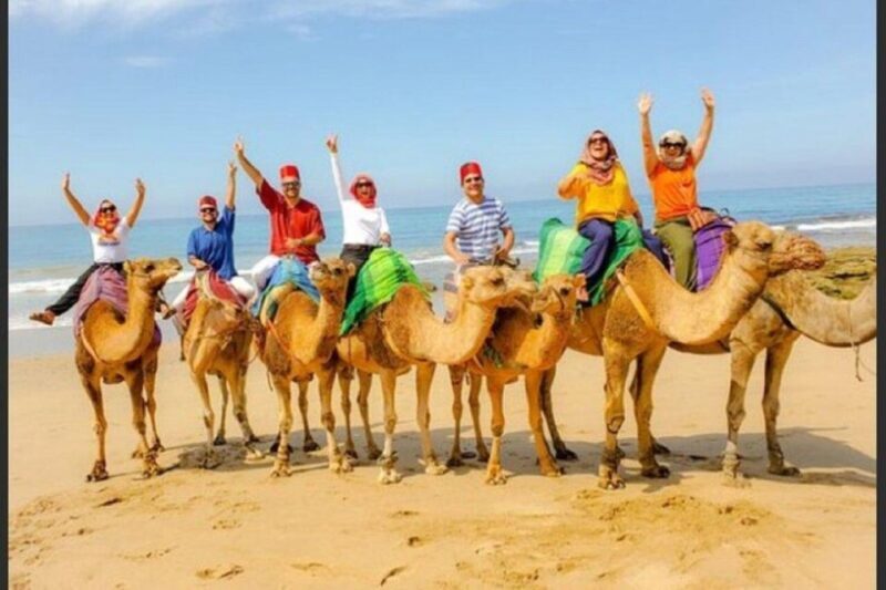 Private Tangier Tour with Lunch and Camel Ride - An Authentic Introduction to Tangier’s Coastal Charm