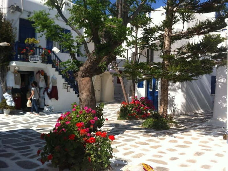 Private: Taste of Mykonos: Panoramic Views & Local Delights - Key Points