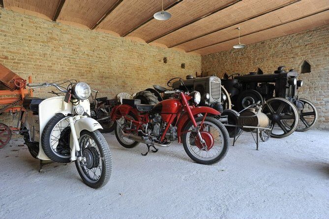 Private Tasting Barbaresco Experience with Typical Products - What Past Travelers Say