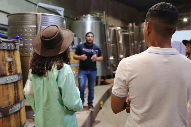 Private Tasting in Valle de Guadalupe Winery - What Real Reviewers Say