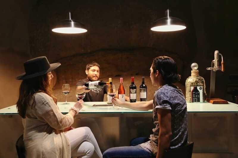 Private Tasting in Valle de Guadalupe Winery - Practical Details and Tips