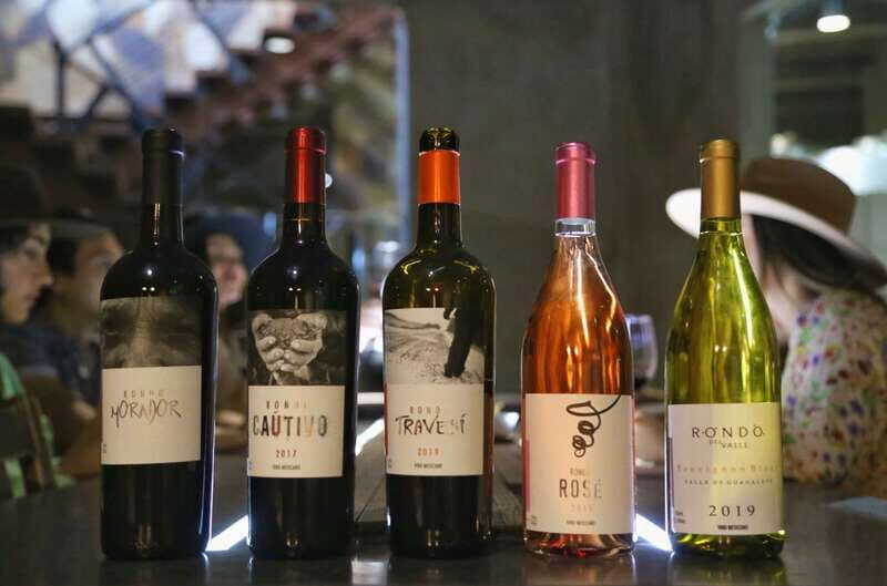 Private Tasting in Valle de Guadalupe Winery - Is This Tour for You?