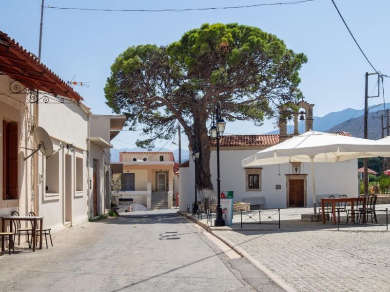 Private tasting of 6 cretan wines in Fres village - An Authentic Encounter with Cretan Wine Culture