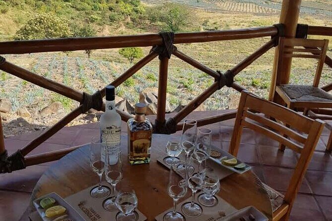 Private Tasting Tour Hacienda de Oro, Amatitan Jalisco - Why this Tequila Tasting Tour Stands Out