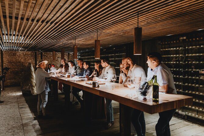 Private Tasting with Pairing in a Cava in Aguascalientes - Authentic Wine Tasting at Tierra Tinta in Aguascalientes: A Deep Dive