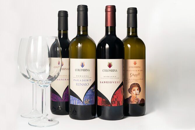 Private tastings at the Colombina Agricultural Company - Discover the charm of private wine tastings at Colombina Agricultural Company