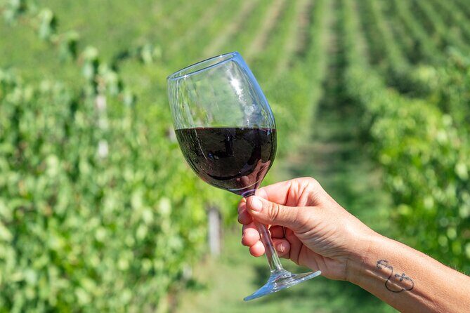 Private tastings at the Colombina Agricultural Company - FAQs