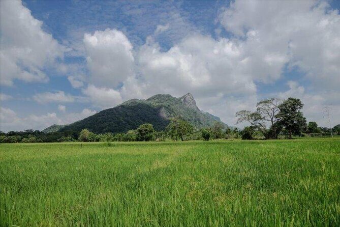 Private Taxi from Sri Lanka Airport (BIA-CMB) to Dambulla Hotels - Who Should Consider This Service