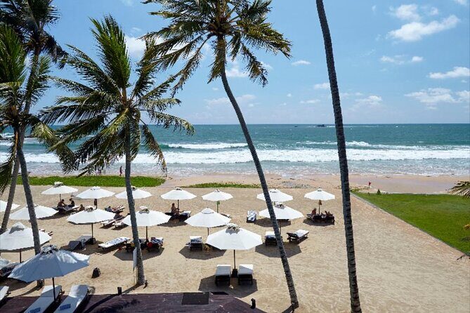 Private Taxi from Sri Lanka Airport (CMB-BIA) to EKHO Surf Hotel Bentota - Cost vs. Value
