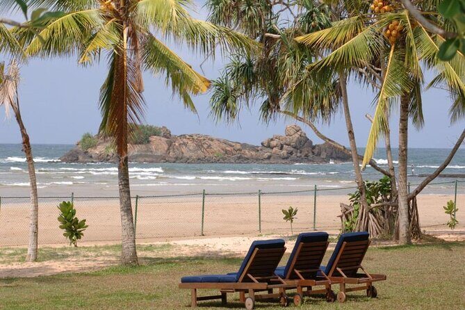 Private Taxi from Sri Lanka Airport (CMB-BIA) to The Palms Hotel Beruwala - The Journey: What You Can Expect