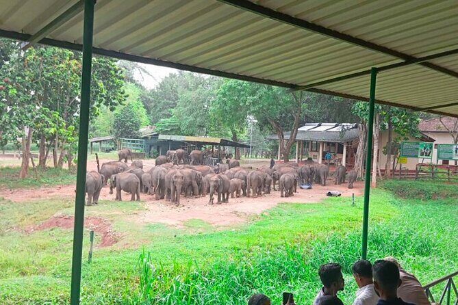 Private Taxi Service Around Sri Lanka with Airport Pickup & Drop - FAQ