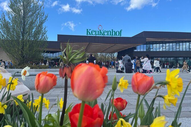Private Taxi to Keukenhof Tulip Fields & Flowers From Amsterdam - FAQ
