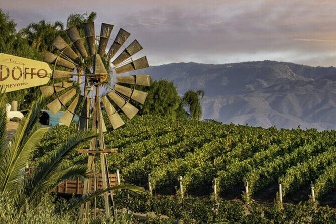 Private Temecula Wine Country Tour from San Diego - A Detailed Look at the Tour