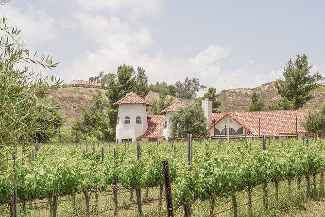 Private Temecula Wine Tour De Luz - Authentic Experiences & Local Insights