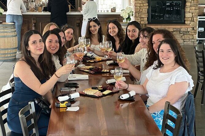 Private Temecula Wine Tour from Anaheim - Transportation & Overall Experience