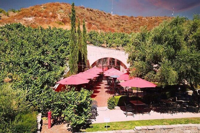 Private Temecula Wine Tour from Bonsall - The Sum Up