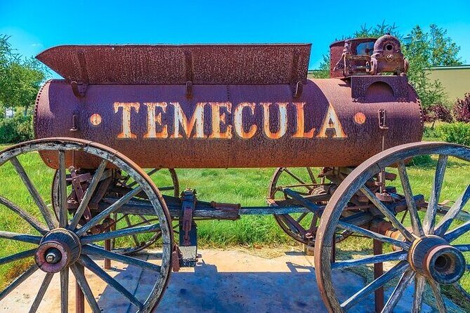 Private Temecula Wine Tour from Dana Point - Who Should Consider This Tour?