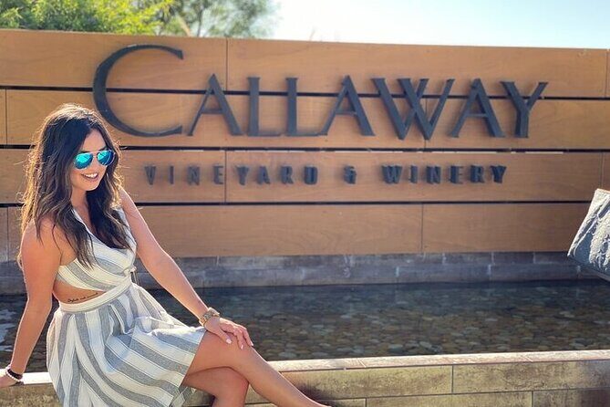 Private Temecula Wine Tour from Laguna Beach - Transportation, Comfort, and Practicalities