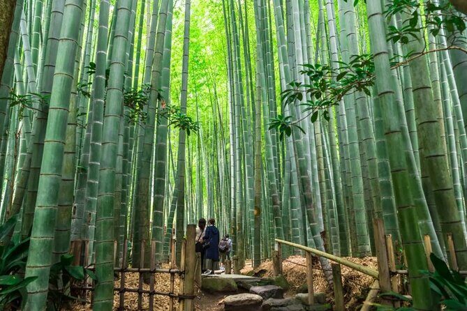 Private Temples and Nature in North Kamakura Walking Tour - Exploring the Itinerary in Depth