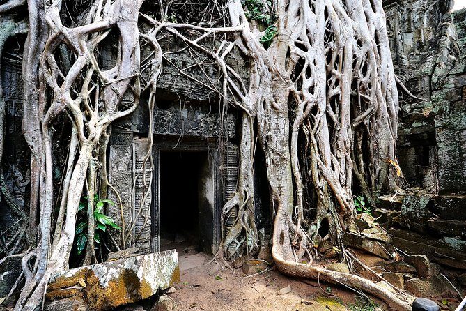 Private Temples Guided Tour (Angkor Wat, Ta Prom & Angkor Thom) - FAQs