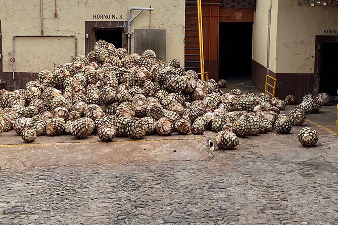 Private Tequila Tour - Exploring Tequila Town and Local Cuisine