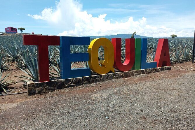 Private Tequila Tour in Guadalajara - An In-Depth Look at the Tour Experience