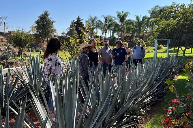Private Tequila Tour with Local Expert - Who This Tour Is Perfect For