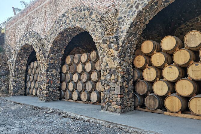 PRIVATE Tequila Valleys Tour: Pyramids, Volcanoes, Agaves&Tequila - Practical Details and What They Mean for You