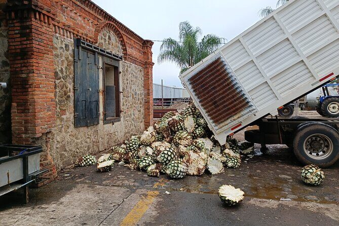 PRIVATE Tequila Valleys Tour: Pyramids, Volcanoes, Agaves&Tequila - Final Thoughts
